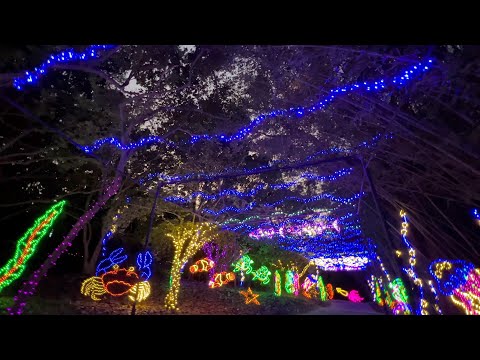 Pure Magic: 8 Best Christmas Lights in Alabama