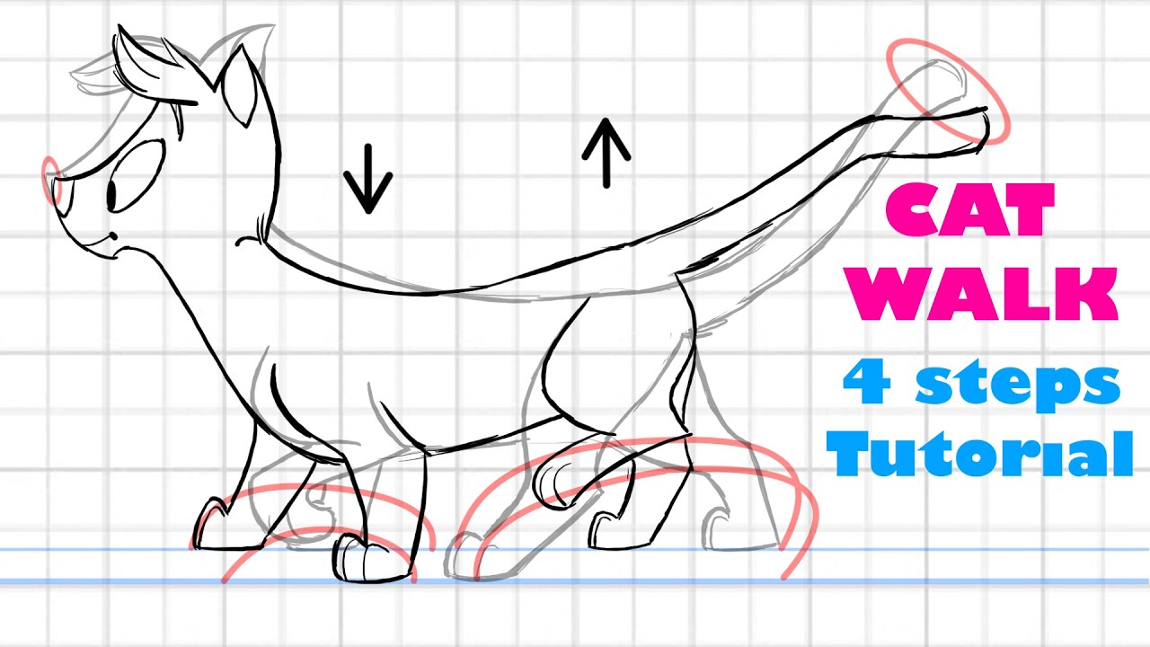 CAT WALK Animation Tutorial