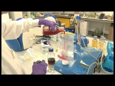 Testing food & water for possible contamination