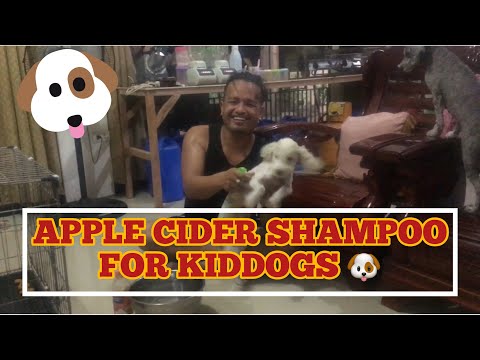 HOW TO CURE FLEA and TICK using APPLE cider vinegar..