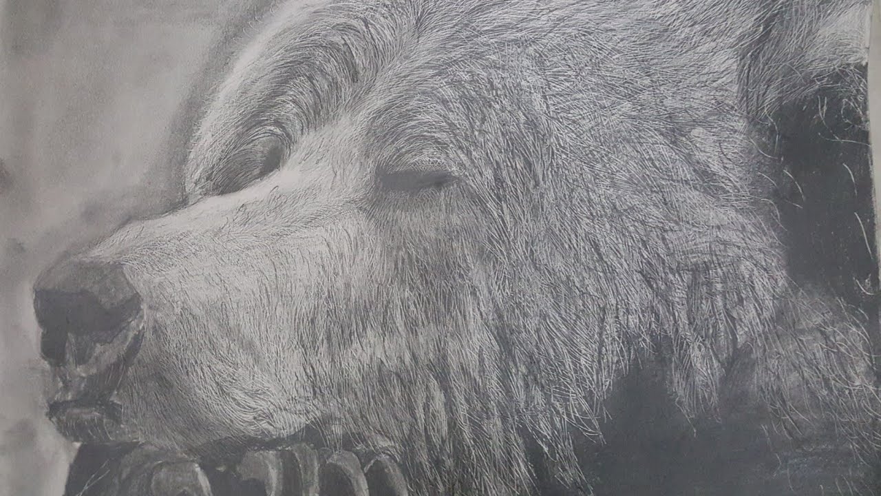 Hyperrealistic grizzly bear | 10 hrs+ drawing | Artolic