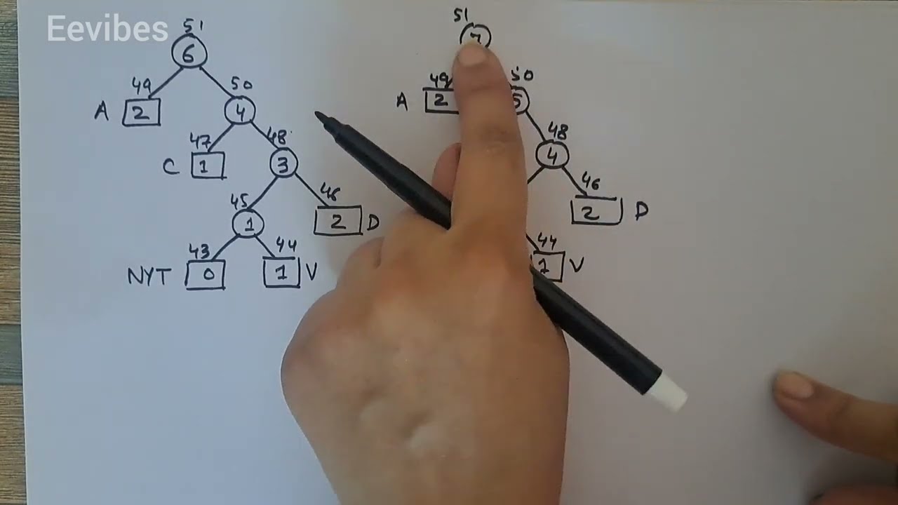 Adaptive Huffman Coding with Example |Part 1 #AdaptiveHuffmanCoding