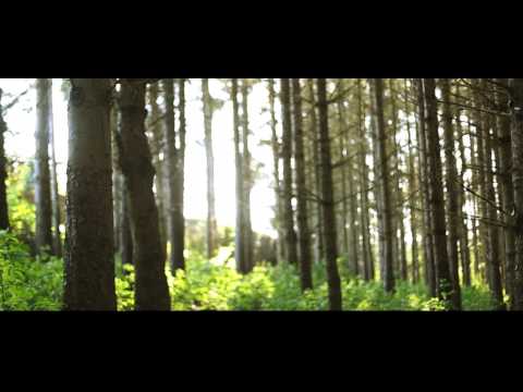 Lade Braes Walk