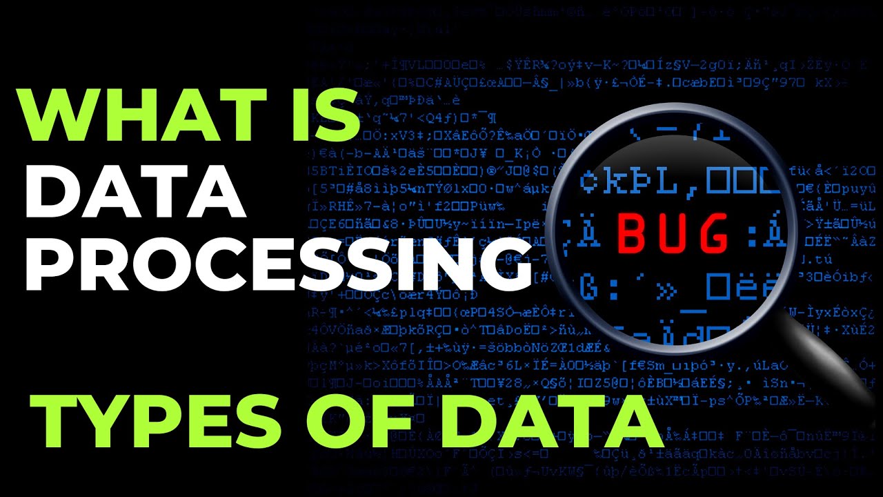 Data Processing and types of Data Attributes | Data Quality & Problems