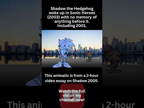 No one told Shadow the Hedgehog to "Never Forget"