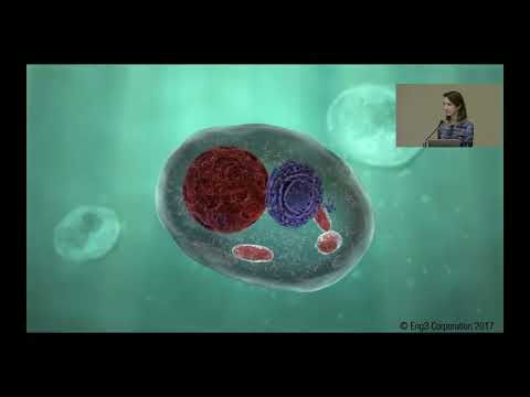 Protein Folding Activity Process: Why is Protein Folding Structure Important for Addressing Disease?