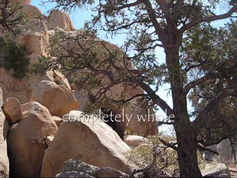 Joshua Tree Prayer