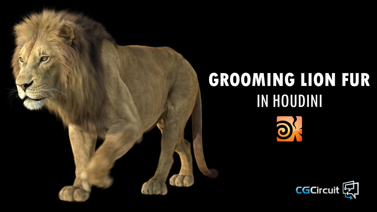 [TRAILER] Grooming Lion Fur in Houdini