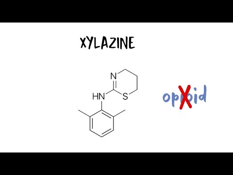 Xylazine Injections - Xylaxin Injections Latest Price, Manufacturers ...