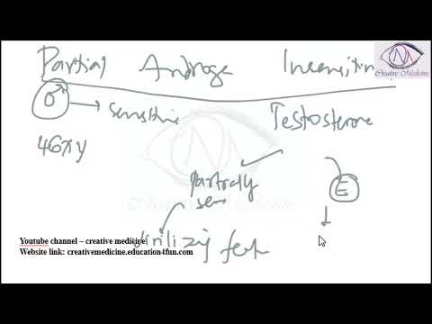 Lec 9 Primary Amenorrhea Partial Androgen Insensitivity Syndrome