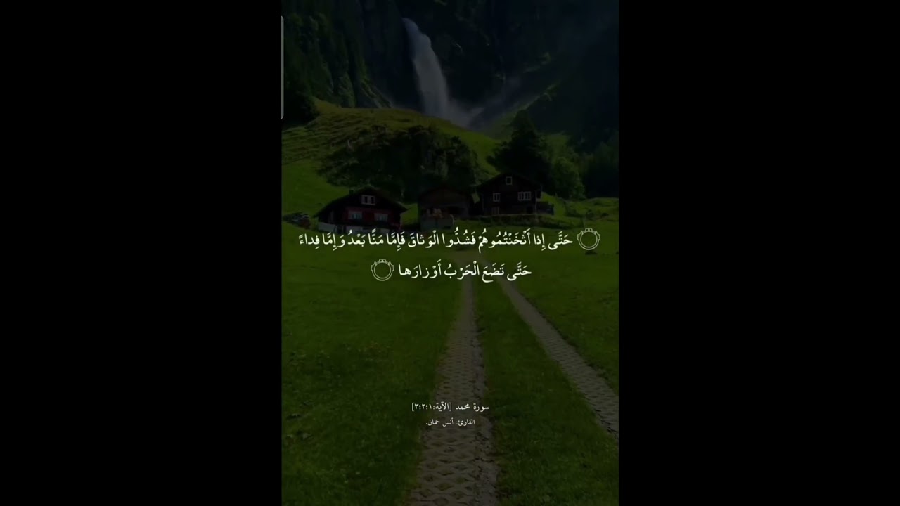 سورة محمد | للقارئ أنس حمان - ليالي رمضان