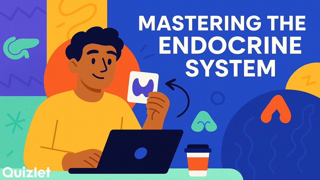 Endocrine System Explained | Hormones, Feedback Loops, and Real Examples