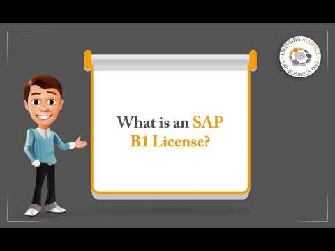 WHAT IS AN SAP BUSINESS ONE LICENSE AND HOW MANY SHOULD I BUY?