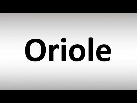 How to Pronounce Oriole