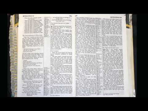 Holy Bible - Revelation 7 : 1 - 17