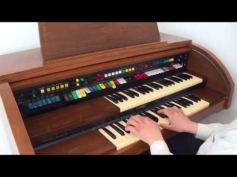 Lowrey organ holiday with genie - nicgasw