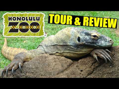Honolulu Zoo 2025 Tour & Review with The Legend
