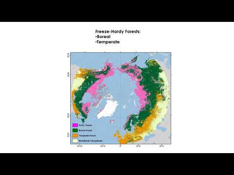 Boreal and Temperate Forests