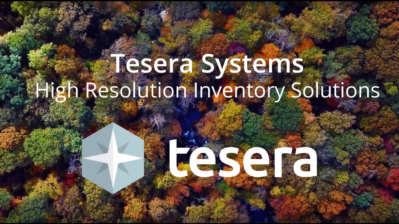 Tesera Systems | F6S