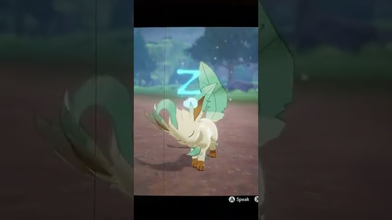 Leafeon fell asleep