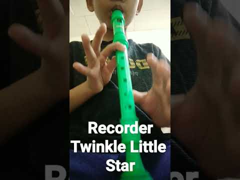 Recorder Twinkle Little Star Song