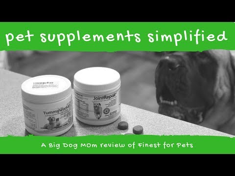 Pet Supplements for Large Dogs | Probiotics | Fish Oil | Joint Health | A Review of Finest for Pets