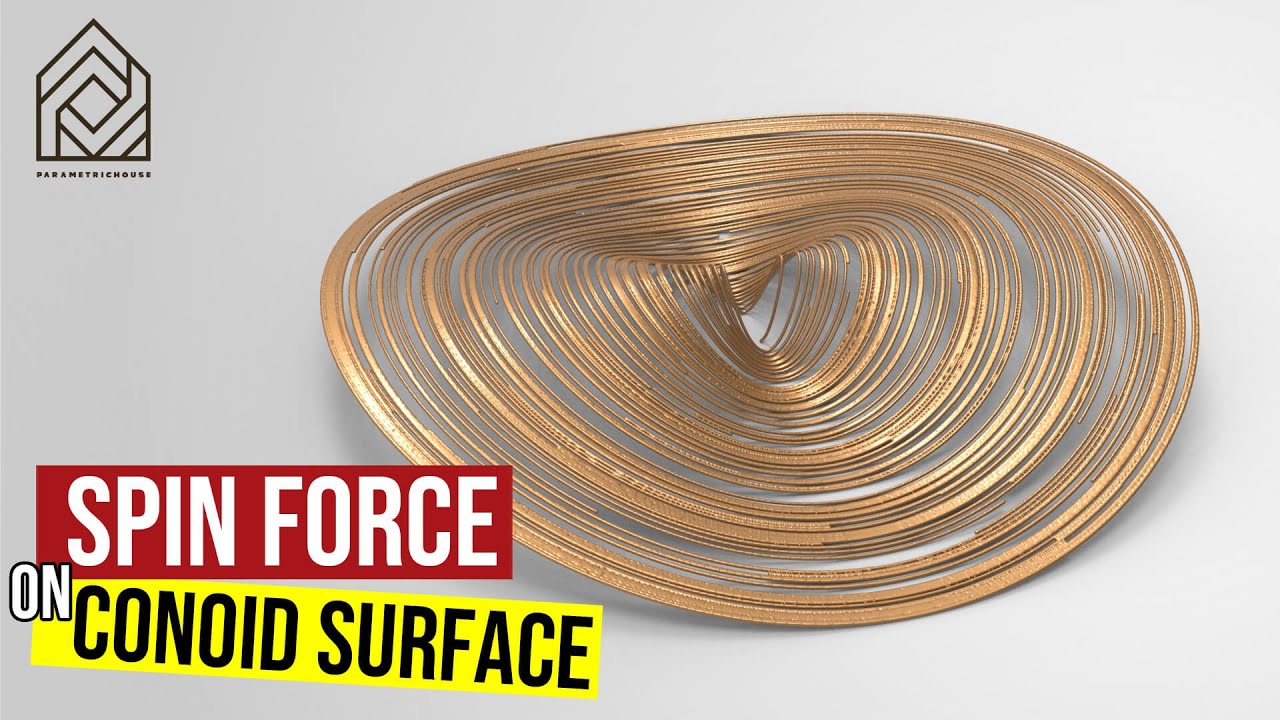 Spin Force On Conoid Surface