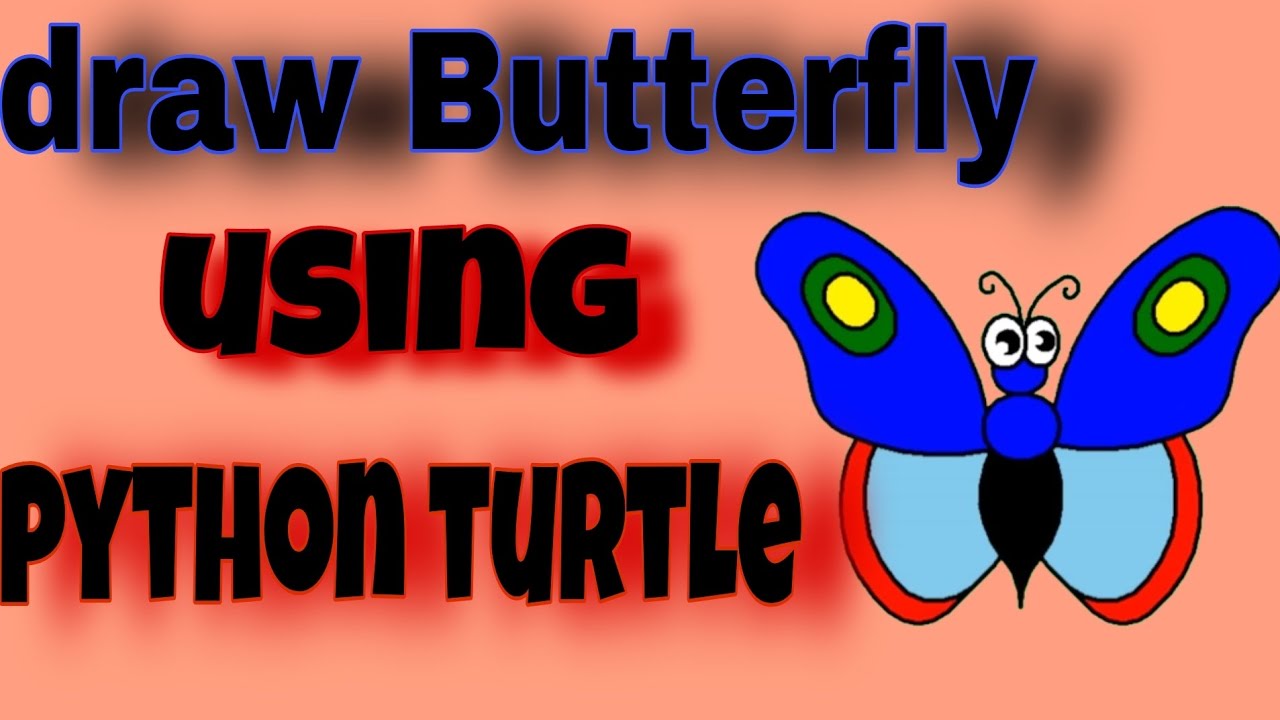 draw butterfly in python turtle #python #turtle #programing_status