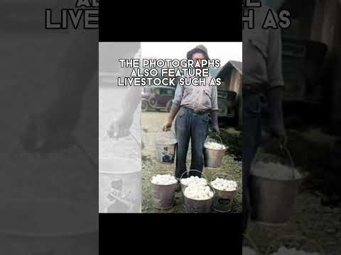Revolutionising Agriculture part1 #historicalphotos