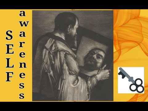 Self Awareness Basics {Self Awareness Kya Hai - 7 Habits in Hindi} (2019)