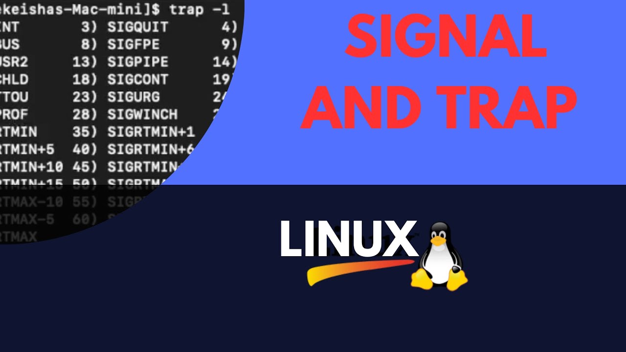 Linux Signals and Trap command #bashscripting #bashshell #linux #bash #shellscripting