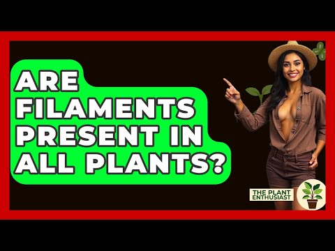 Are Filaments Present In All Plants? - The Plant Enthusiast
