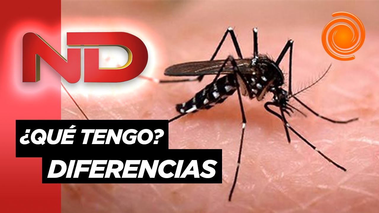 Cinco claves para distinguir dengue de gripe