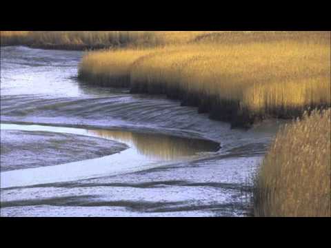 Mudflats
