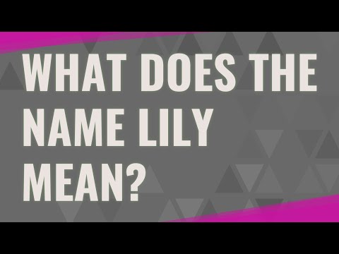 What does the name Lily mean?