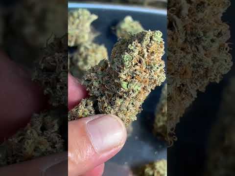 What the market competes for is never price,but quality #Cannabis #bangkok #thailand #usa #NewBee