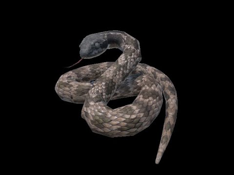 Steam Community :: Video :: Stranded Deep Snakes Are Overpowered