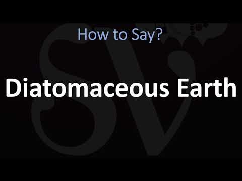 How to Pronounce Diatomaceous Earth? (CORRECTLY)