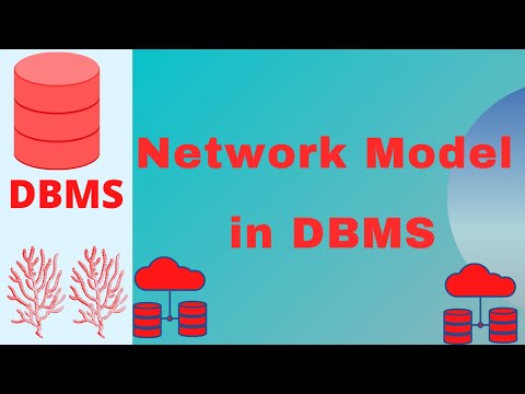 Database Lecture 06 Network Data Model in DBMS | Database
