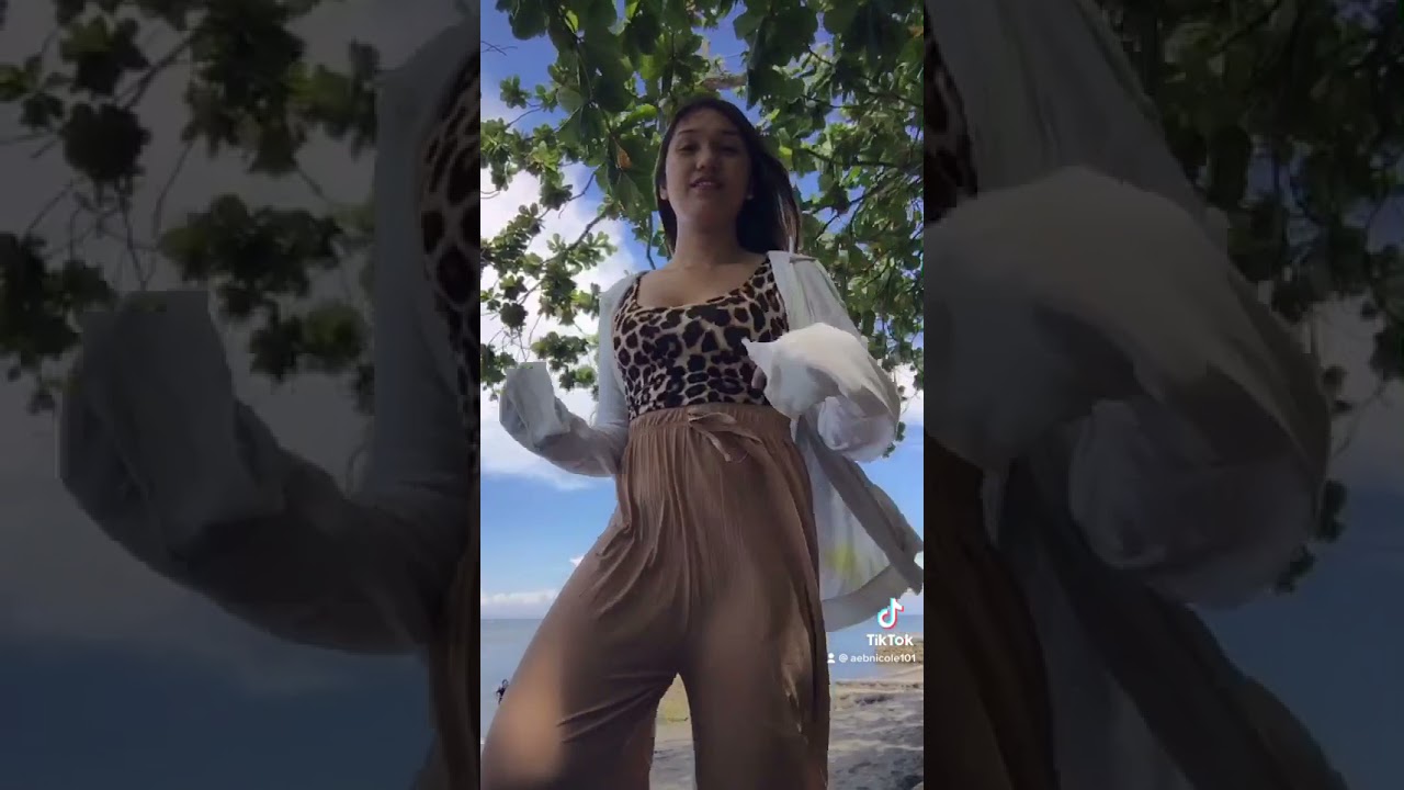 WORK FROM HOME - TikTok Dance Cover
