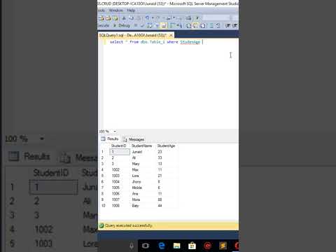SQL UNION Operator in SQL Server