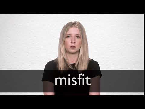 Synonyms of MISFIT | Collins American English Thesaurus