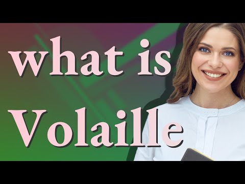 Volaille | meaning of Volaille