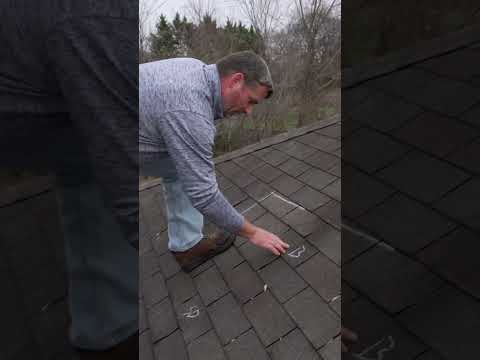 Shingle Blistering
