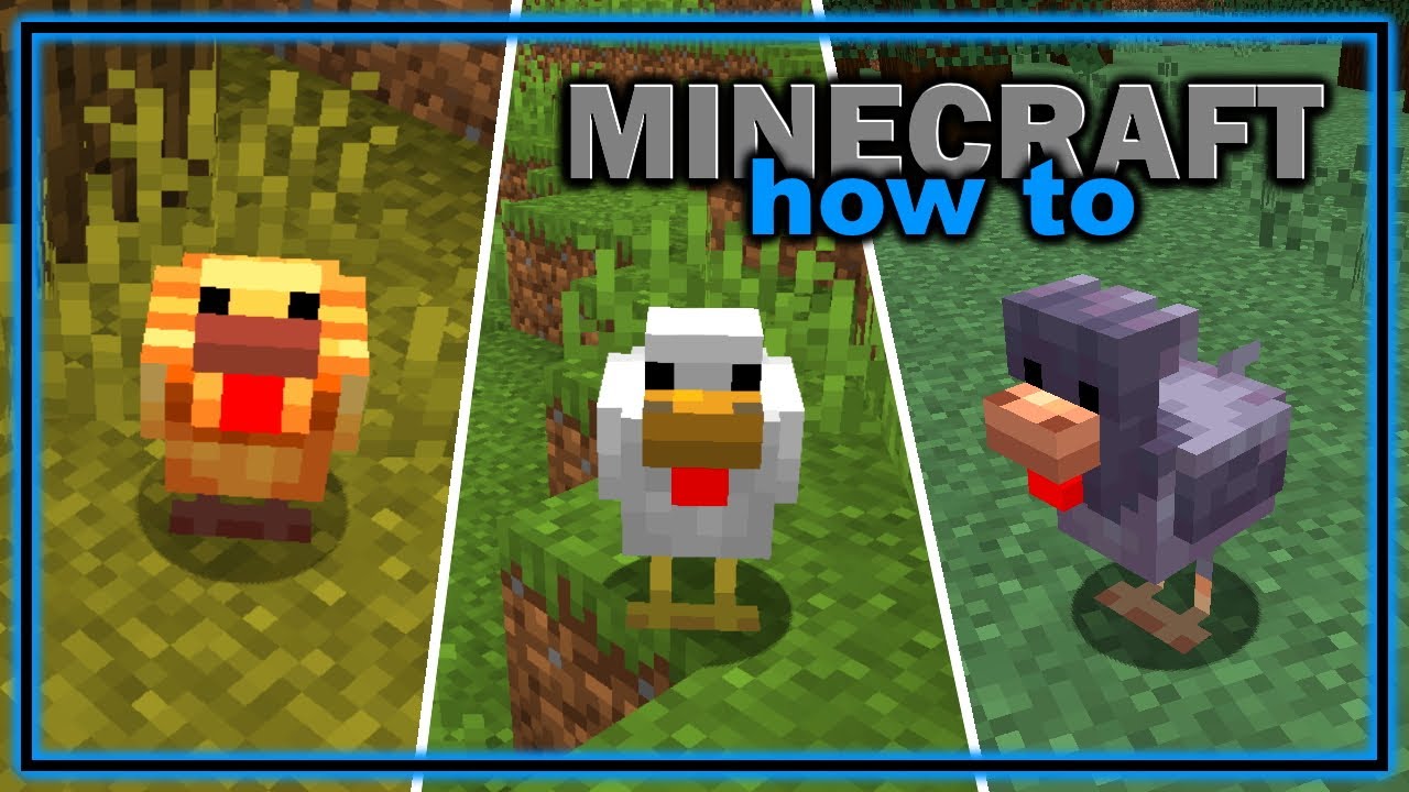 Everything You Need to Know About the Chicken (1.21.5+) | Easy Minecraft Mob Guide