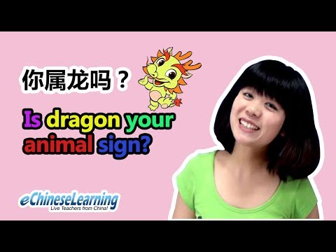 Intermediate Mandarin Chinese Zodiac "你属龙吗? (Is Dragon Your Animal Sign)?" with eChineseLearning