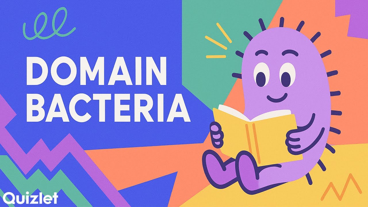 What Are Domain Bacteria? | Prokaryotes Explained for Biology Students