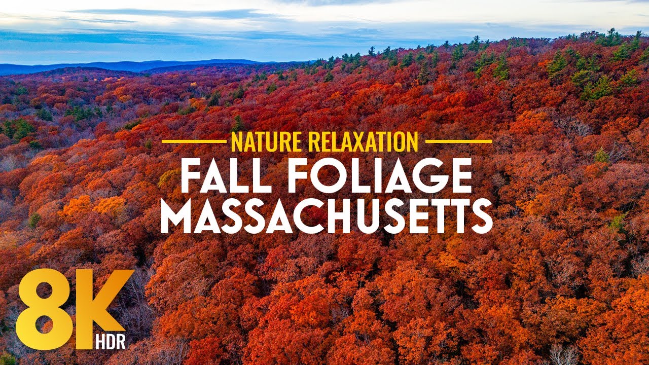 Massachusetts Fall Foliage 8K HDR | Nature Sounds & Fall Colors of Hickey & Peeskawso Peak Trail