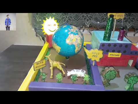 Science Models - Science Project Latest Price, Manufacturers & Suppliers