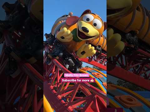 #shorts #rollercoaster #coaster #hollywoodstudios #disney #slinky #dog #yay #toystory #epic #fyp